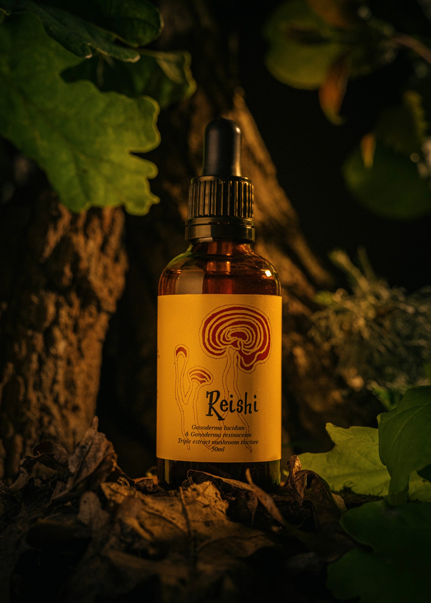 Reishi Tincture – Golden Horn Farm